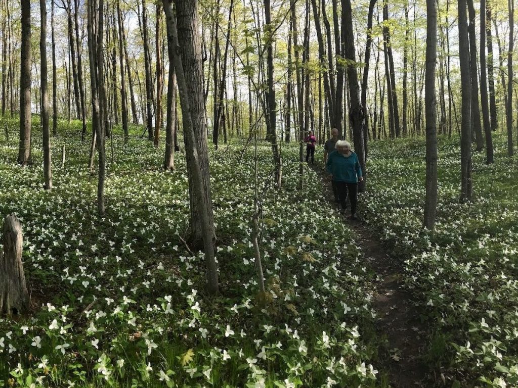 Property Stewards – NLTrust 2023